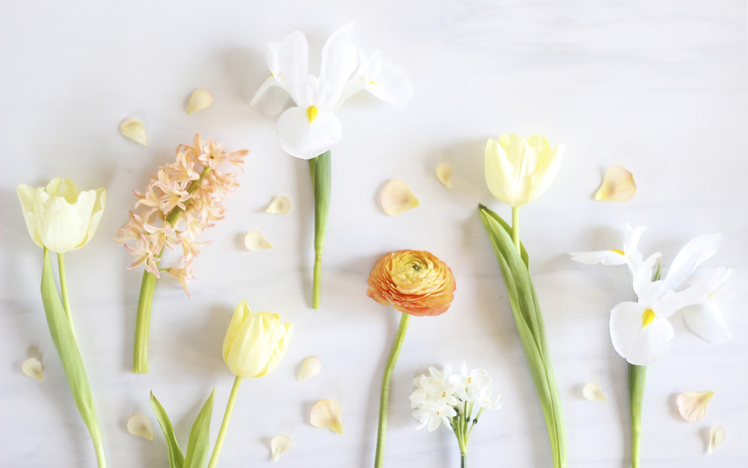 APRIL DIGITAL BLOOMS ROUNDUP | 11 FREE TECH WALLPAPERS - JustineCelina
