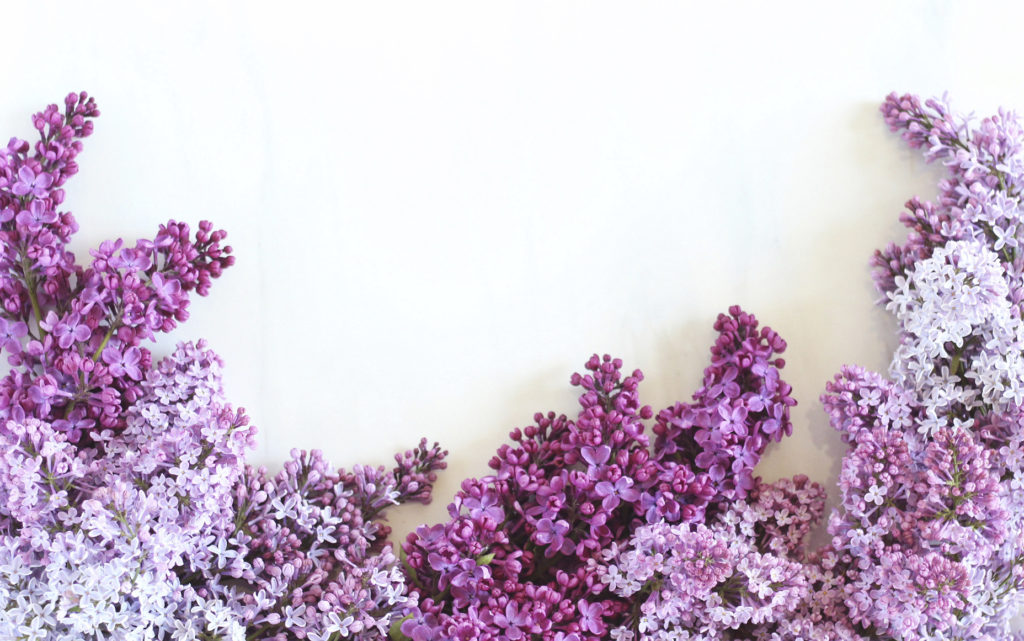 DIGITAL BLOOMS JUNE 2016 | FREE TECH WALLPAPERS - JustineCelina