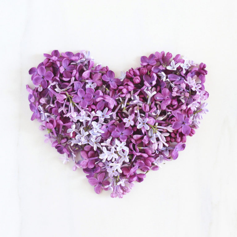 DIGITAL BLOOMS JUNE 2016 | FREE TECH WALLPAPERS - JustineCelina