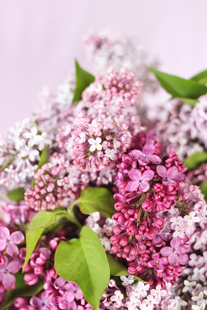 DIY | FORAGED LILAC ARRANGEMENT - JustineCelina