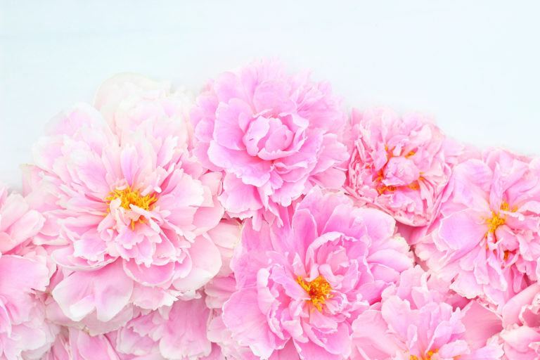 DIGITAL BLOOMS JULY 2016 | FREE TECH WALLPAPERS - JustineCelina