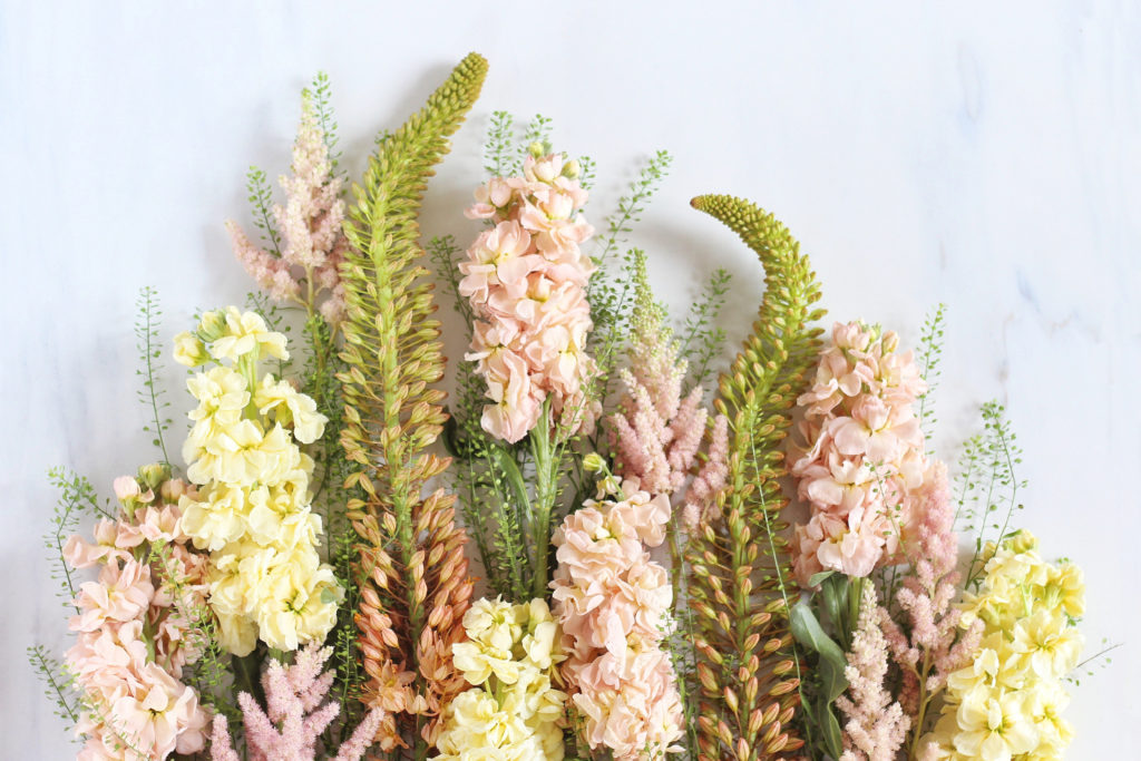 DIGITAL BLOOMS SEPTEMBER 2016 | FREE TECH WALLPAPERS - JustineCelina