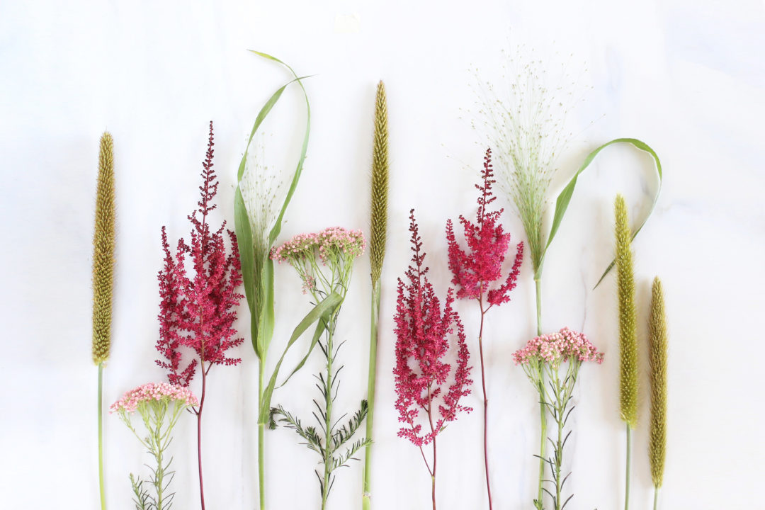 OCTOBER DIGITAL BLOOMS | 11 FREE TECH WALLPAPERS - JustineCelina