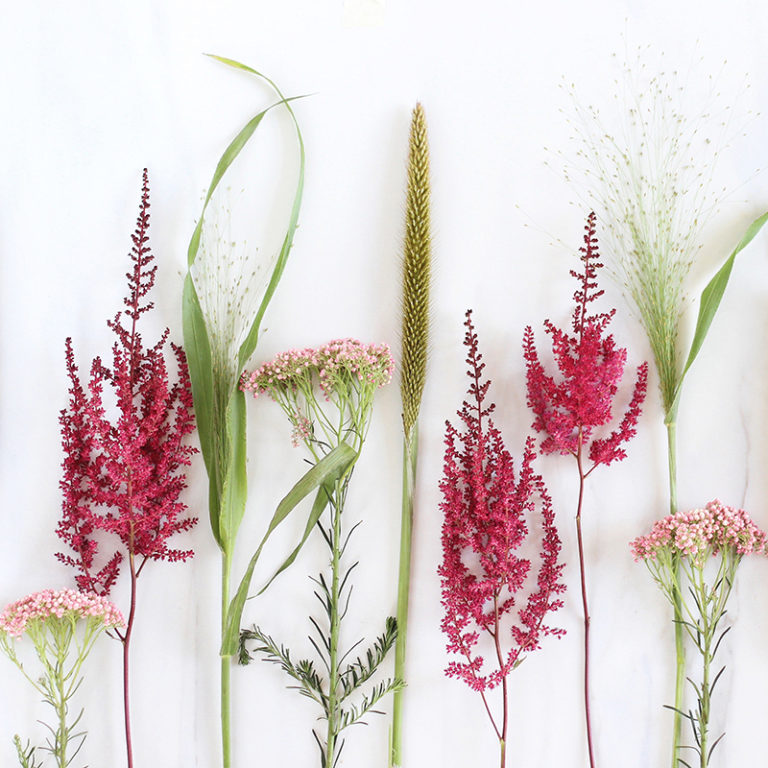 DIGITAL BLOOMS OCTOBER 2016 | FREE TECH WALLPAPERS - JustineCelina