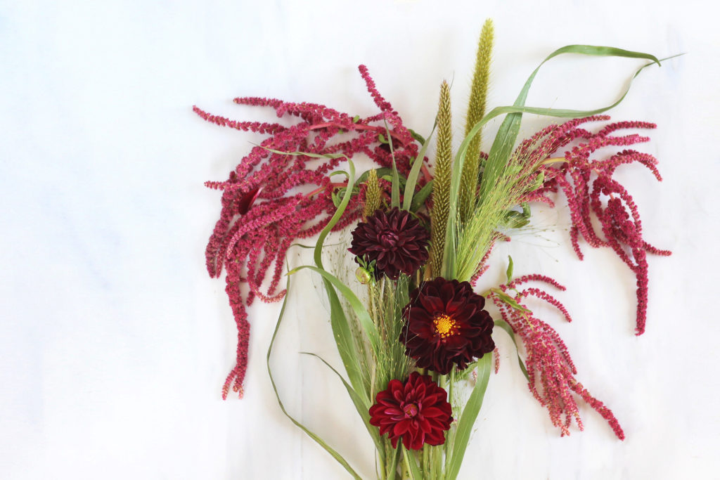 DIGITAL BLOOMS OCTOBER 2016 | FREE TECH WALLPAPERS - JustineCelina