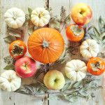 SPICY PUMPKIN PERSIMMON SMOOTHIE - JustineCelina