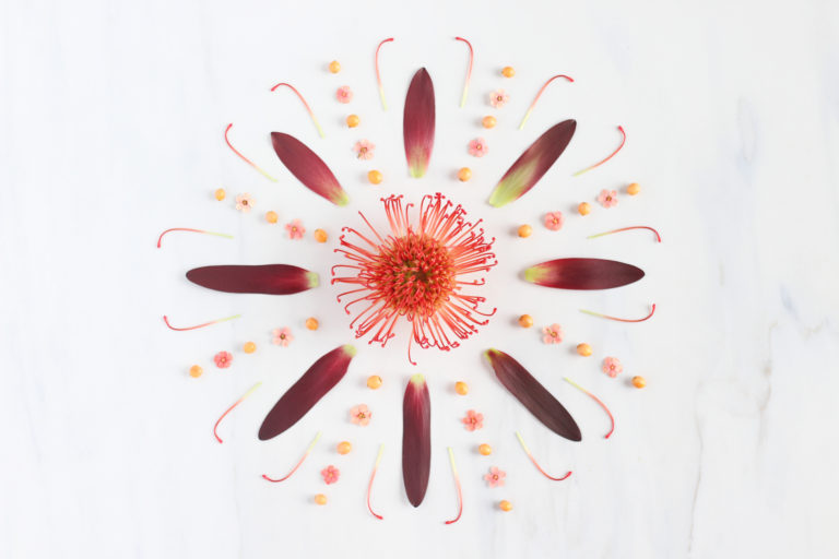 NOVEMBER DIGITAL BLOOMS | 11 FREE TECH WALLPAPERS - JustineCelina