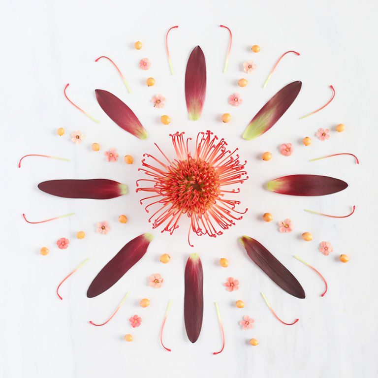 DIGITAL BLOOMS JULY 2020 | FREE DESKTOP WALLPAPER - JustineCelina