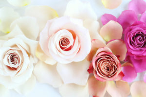 ALL ABOUT ROSES - JustineCelina