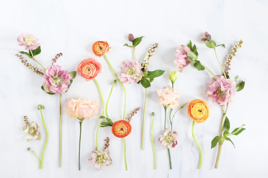 DIGITAL BLOOMS APRIL 2017 | FREE DESKTOP WALLPAPERS + DIGITAL BLOOMS ...