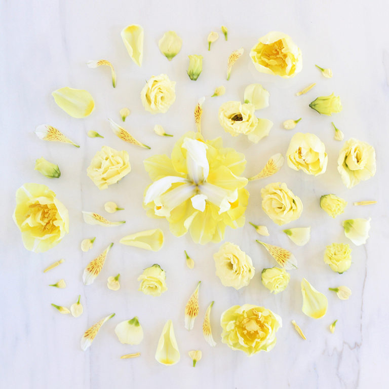 DIGITAL BLOOMS MAY 2017 | FREE DESKTOP WALLPAPERS - JustineCelina