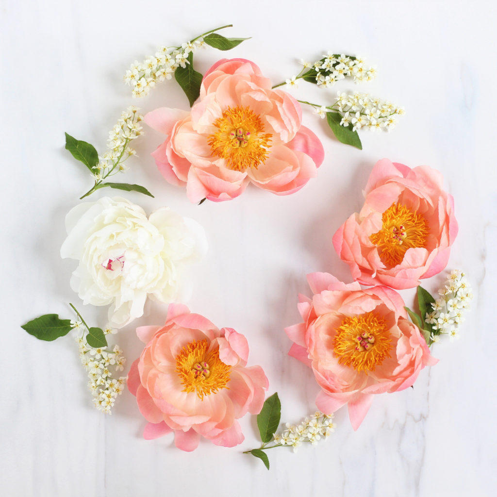 DIGITAL BLOOMS JUNE 2017 | FREE DESKTOP WALLPAPERS - JustineCelina