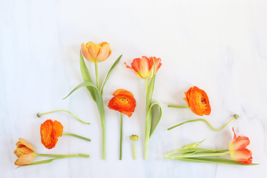 JULY DIGITAL BLOOMS ROUNDUP | 11 FREE TECH WALLPAPERS - JustineCelina