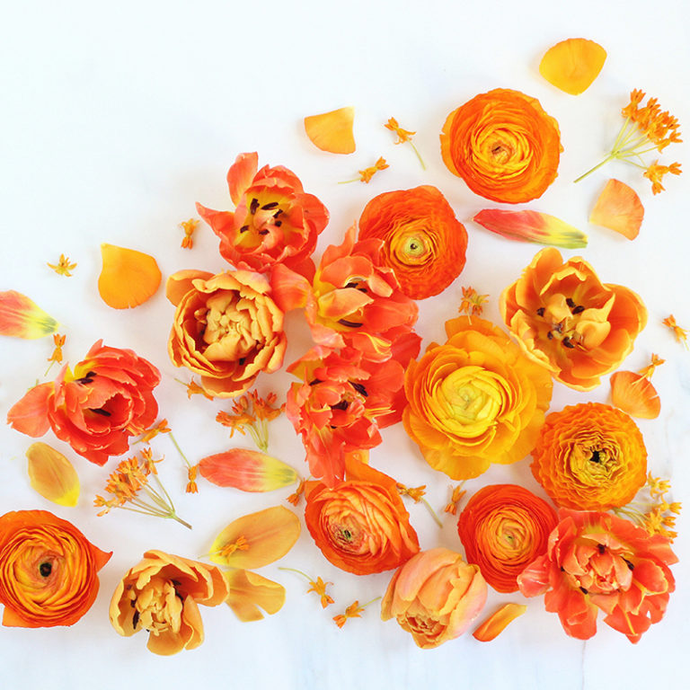 DIGITAL BLOOMS JULY 2017 | FREE DESKTOP WALLPAPERS - JustineCelina