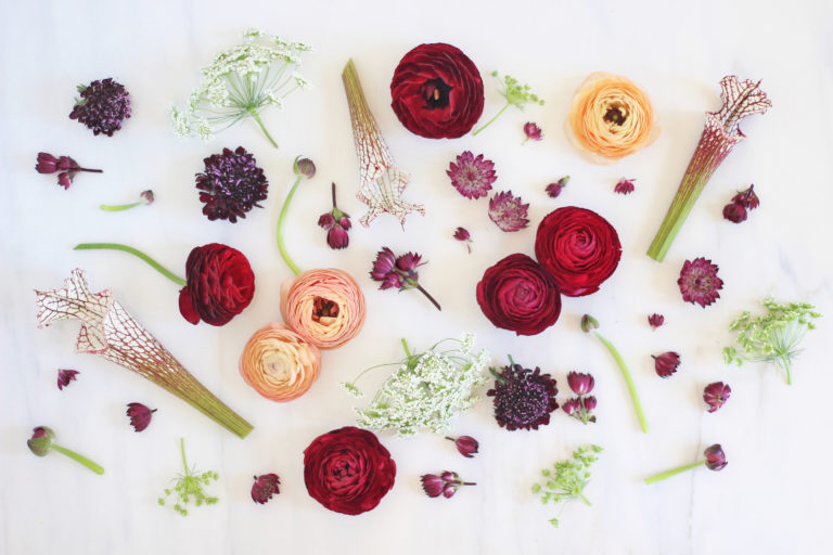 DIGITAL BLOOMS OCTOBER 2017 | FREE DESKTOP WALLPAPERS - JustineCelina