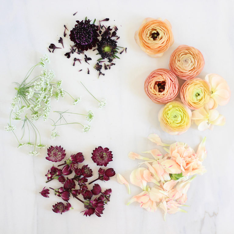 DIGITAL BLOOMS OCTOBER 2017 | FREE DESKTOP WALLPAPERS - JustineCelina