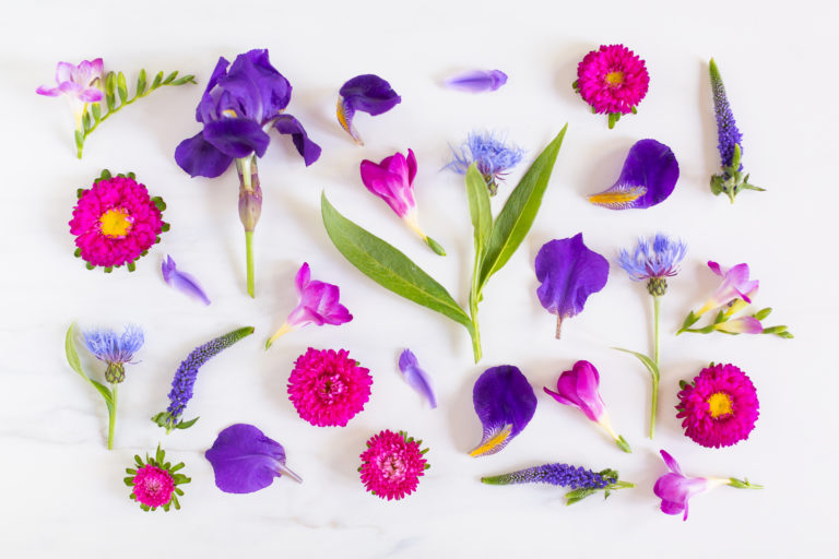 JULY DIGITAL BLOOMS ROUNDUP | 11 FREE TECH WALLPAPERS - JustineCelina