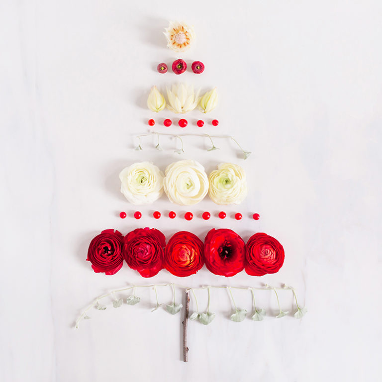 DIGITAL BLOOMS DECEMBER 2018 | FREE DESKTOP WALLPAPERS - JustineCelina