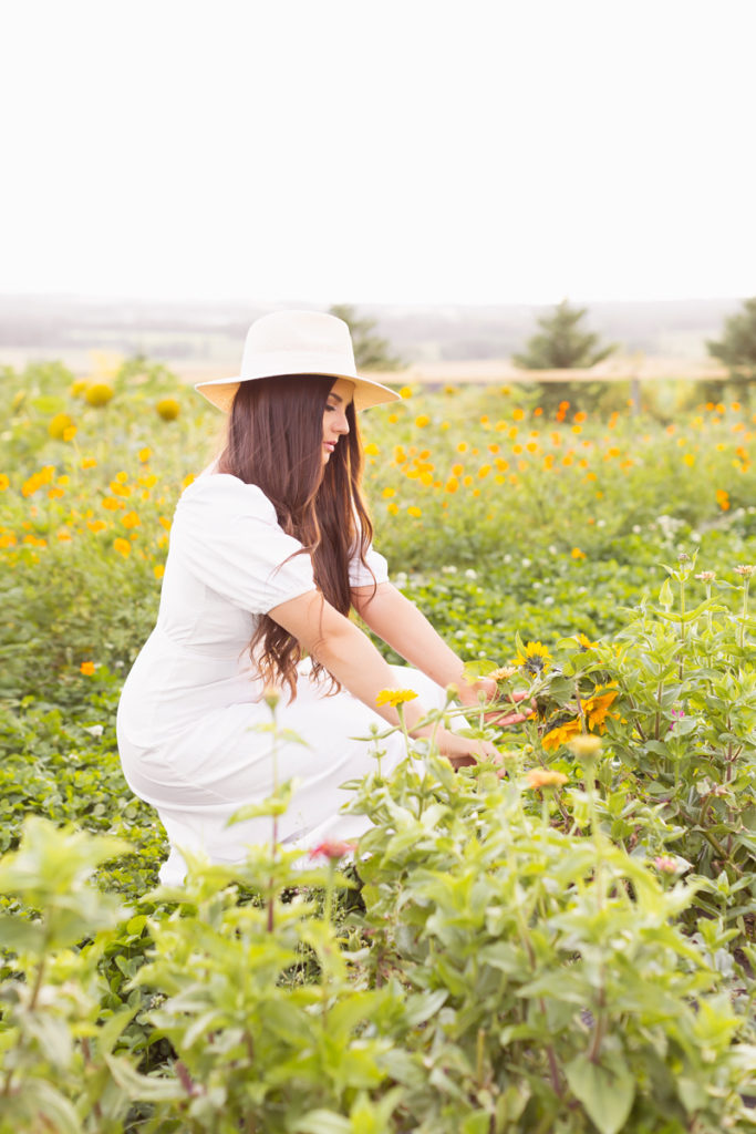 A GUIDE TO BOWDEN SUNMAZE & EAGLE CREEK FARMS - JustineCelina