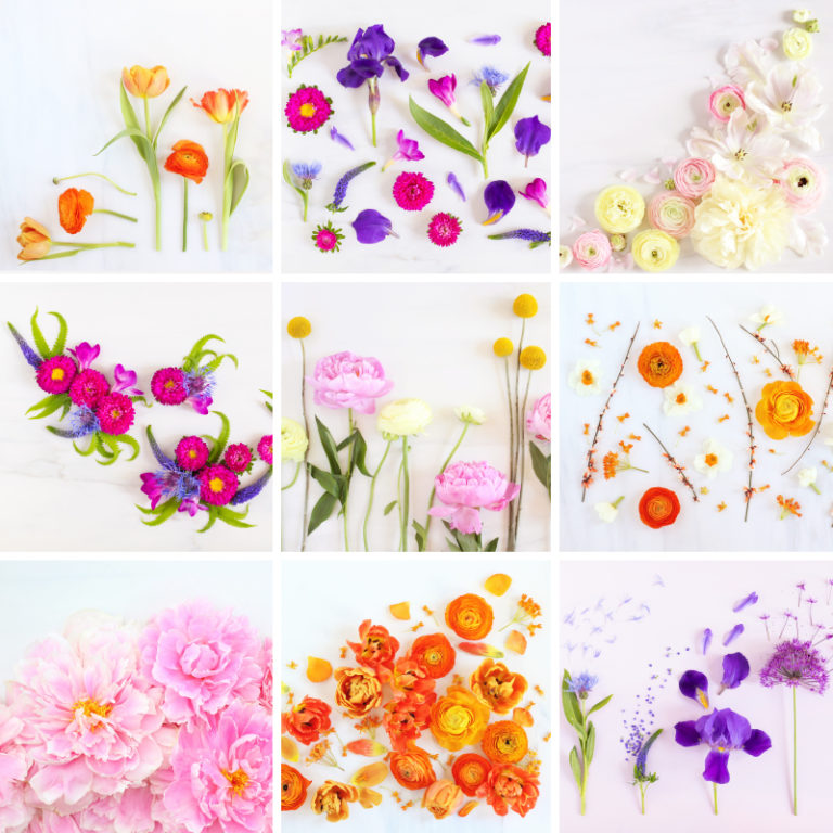 Digital Blooms Archives - JustineCelina