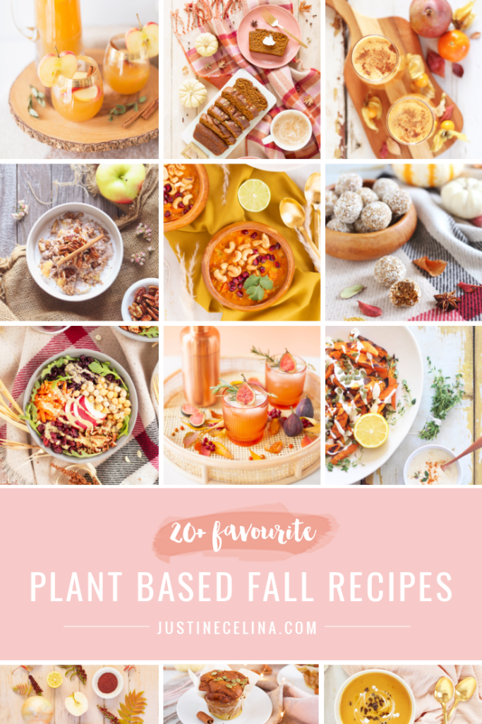 20+ FAVOURITE PLANT BASED FALL RECIPES - JustineCelina