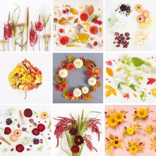 Digital Blooms Archives - JustineCelina