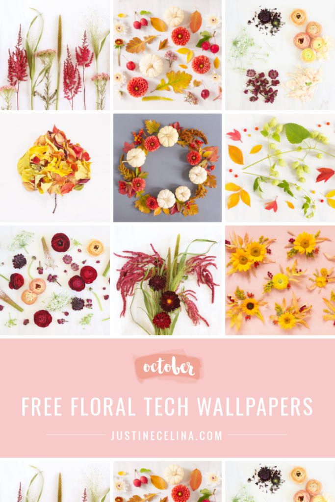 OCTOBER DIGITAL BLOOMS | 11 FREE TECH WALLPAPERS - JustineCelina