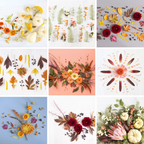 Digital Blooms Archives - JustineCelina